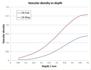 Skin Vasculature & Blood Flow – VivoSight